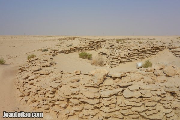 10 Best Places To Visit In Qatar