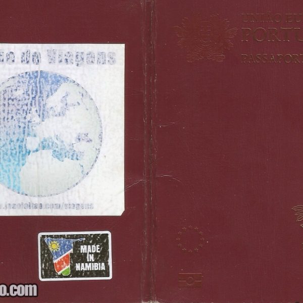 Peek Inside a Full Passport and be inspired to Travel