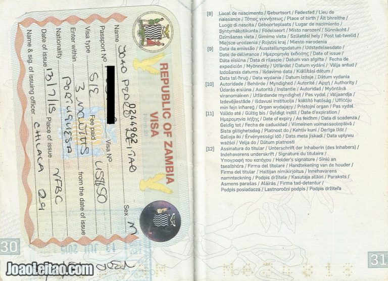 Peek Inside A Full Passport And Be Inspired To Travel