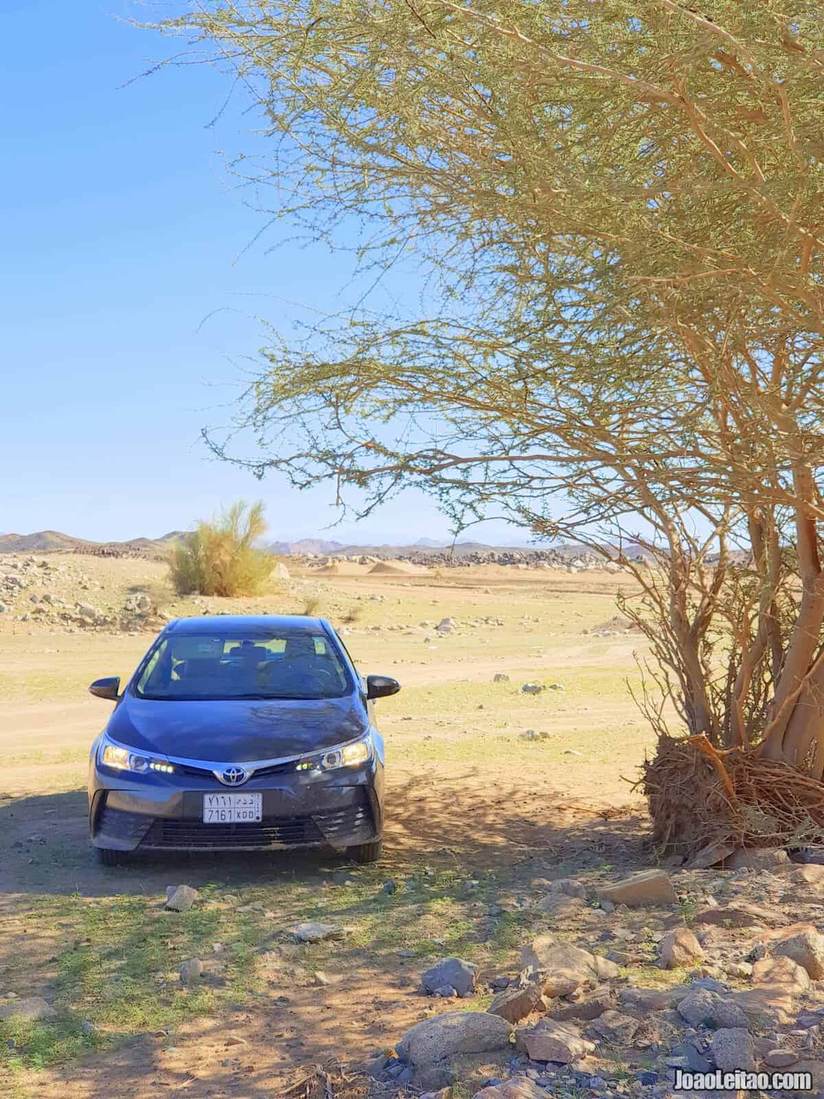 Driving In Saudi Arabia: Jeddah To Riyadh Road Trip - Two Weeks/3000 Km