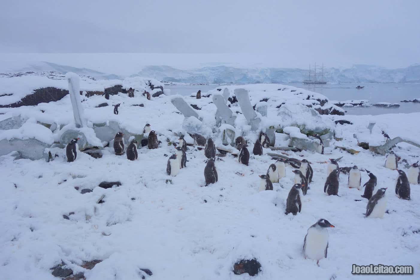 Visit Antarctica - Inspiring Places In The 7th Continent
