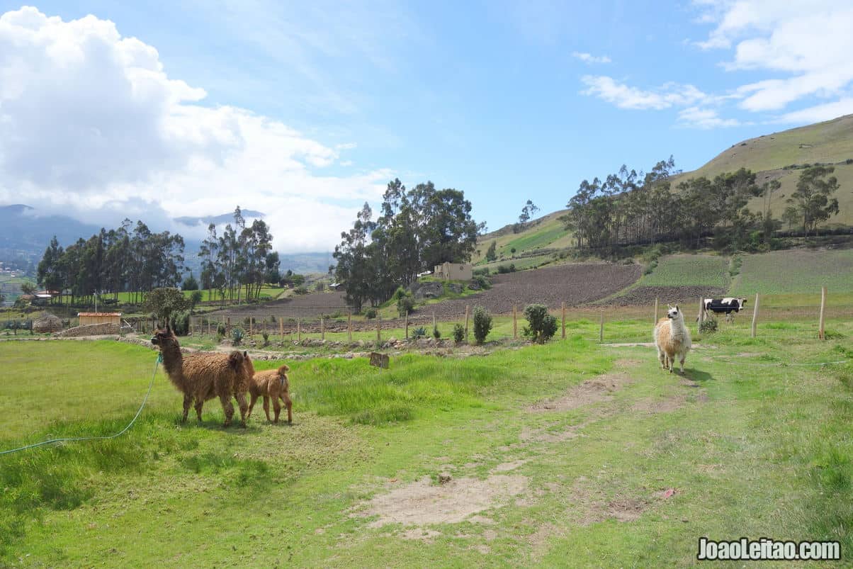 37 Amazing Places To Go When You Visit Ecuador