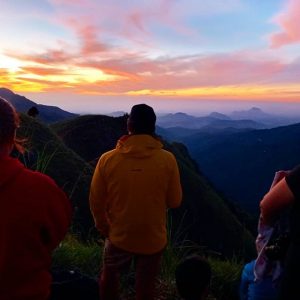 Ali Shabani Interview • Travel Manager From Iran 🇮🇷